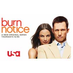 Burn Notice Logo